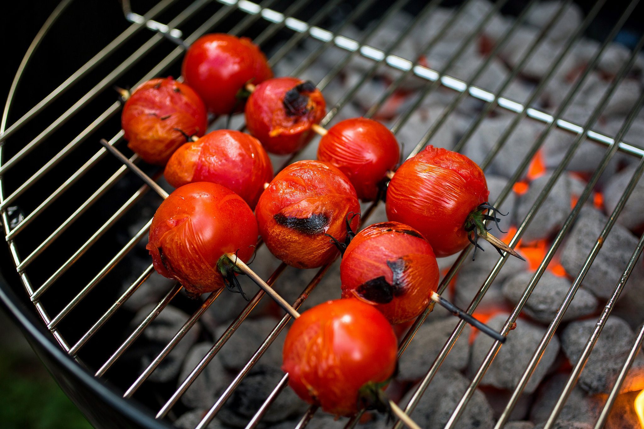 grilled-tomatoe-skewer | Watan Kabob